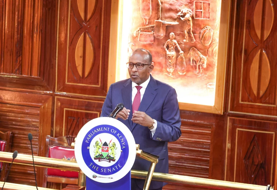 No more political events at Uhuru, Central parks: CS Duale