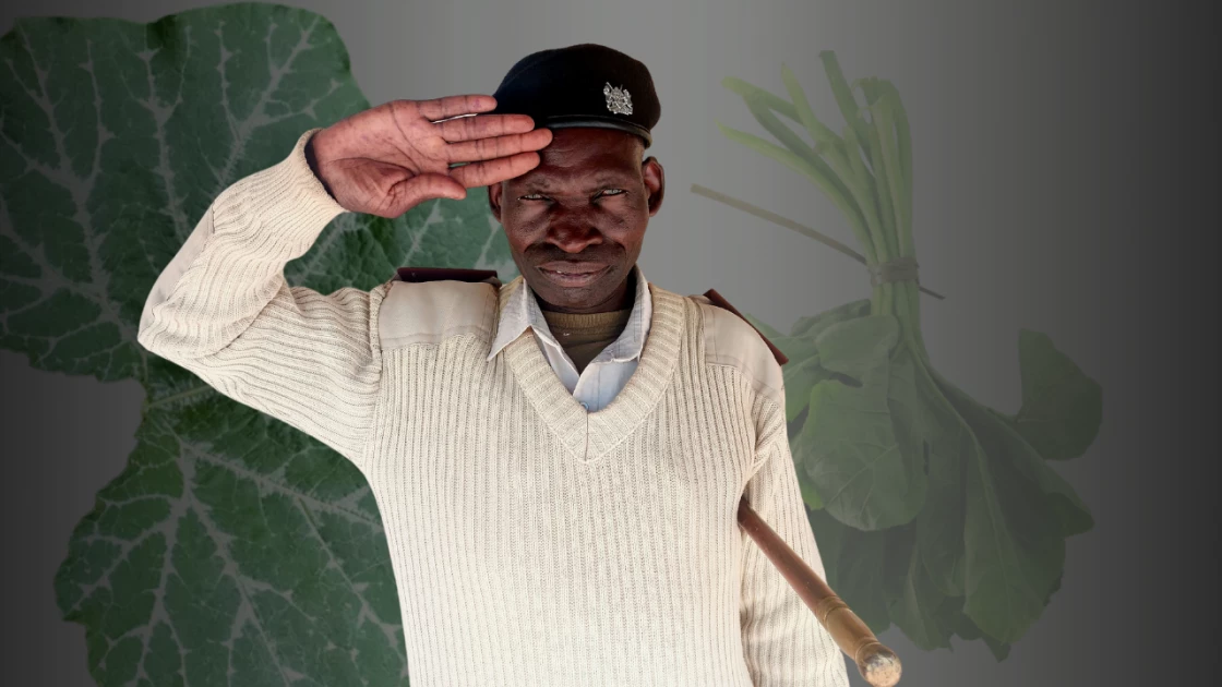 Hilarious 'Misheveve' chief on his life journey and the newly earned fame